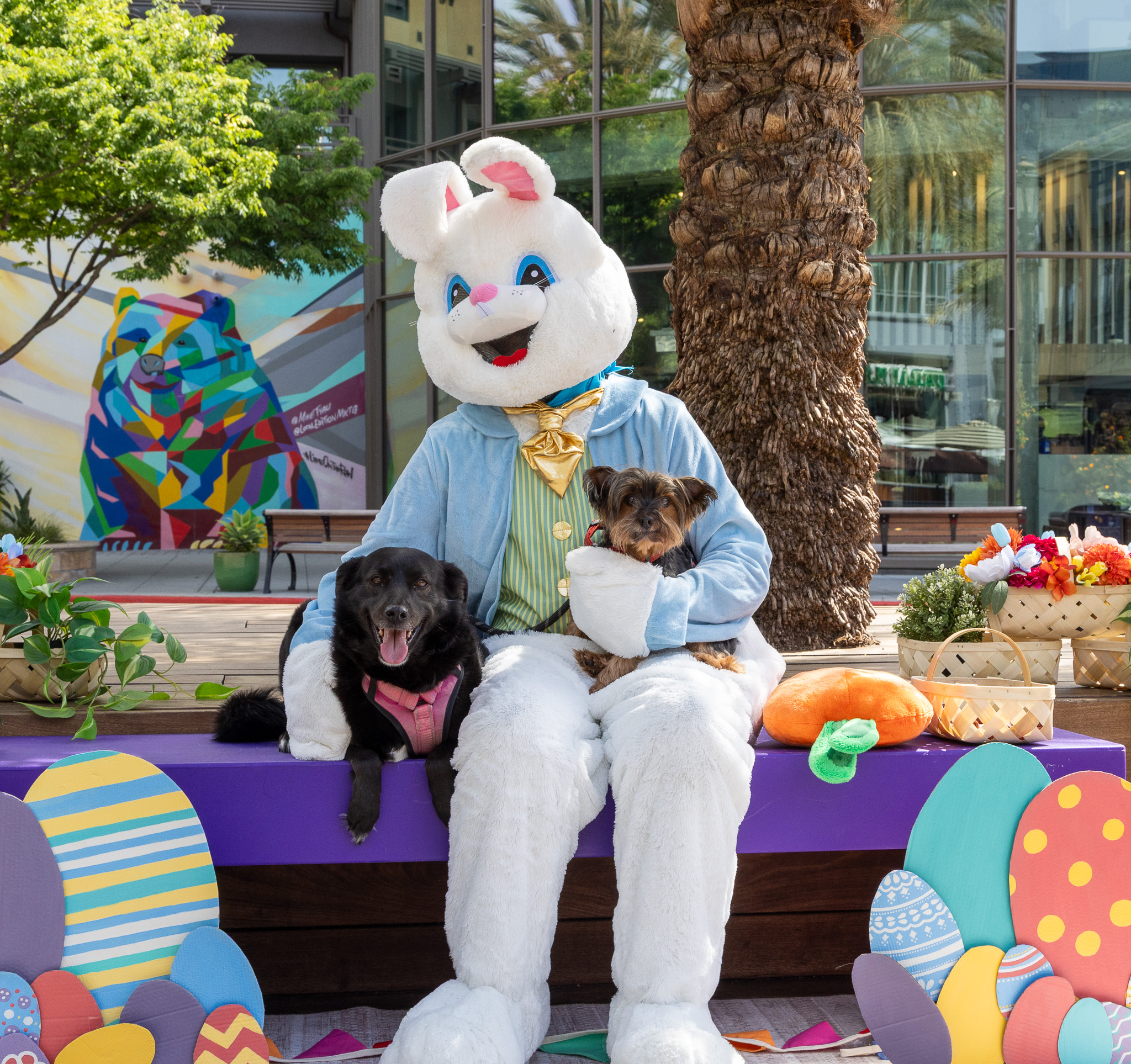 Events - Santana Row